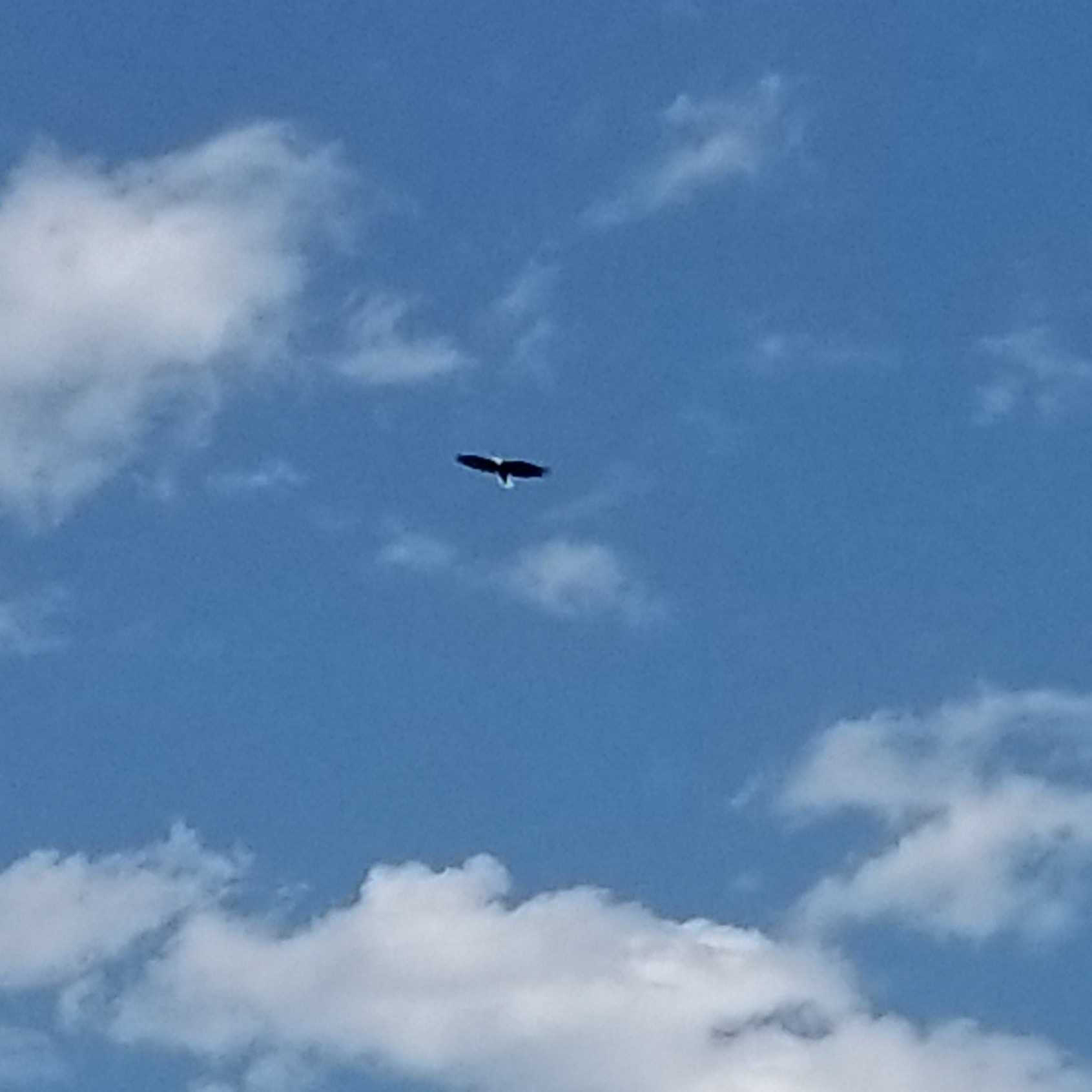 Oahe Downstream Recreation Area - RV Campground in Pierre, SD